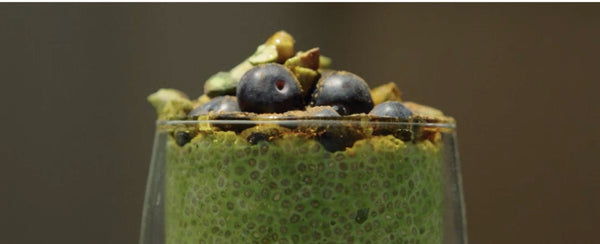 Cooking with KOATJI: Oat Milk Based Recipes – KINTO USA, Inc